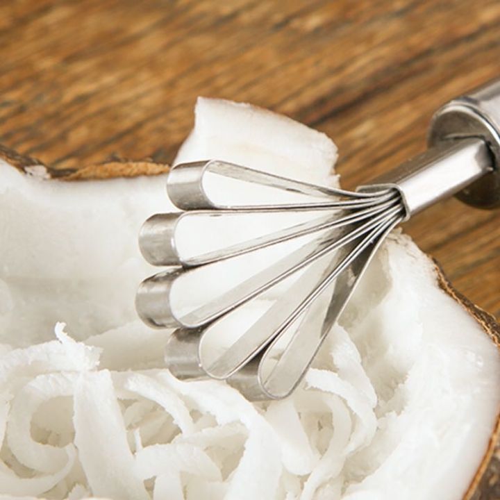 Buko Grater Pang Kayod ng Nyog Stainless Grater | Lazada PH