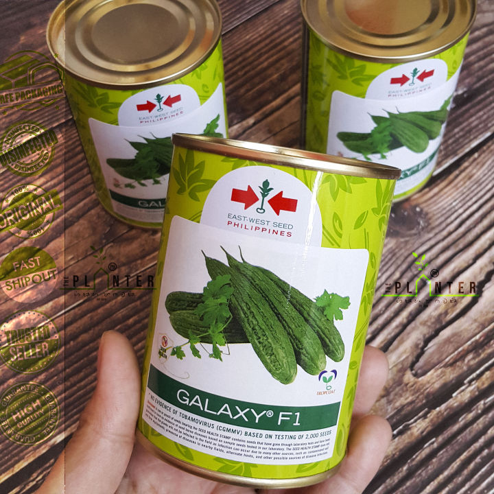 GALAXY F1 , GALAXY MAX F1 (100g) (50g) - EAST - WEST SEED (Original) | Lazada PH