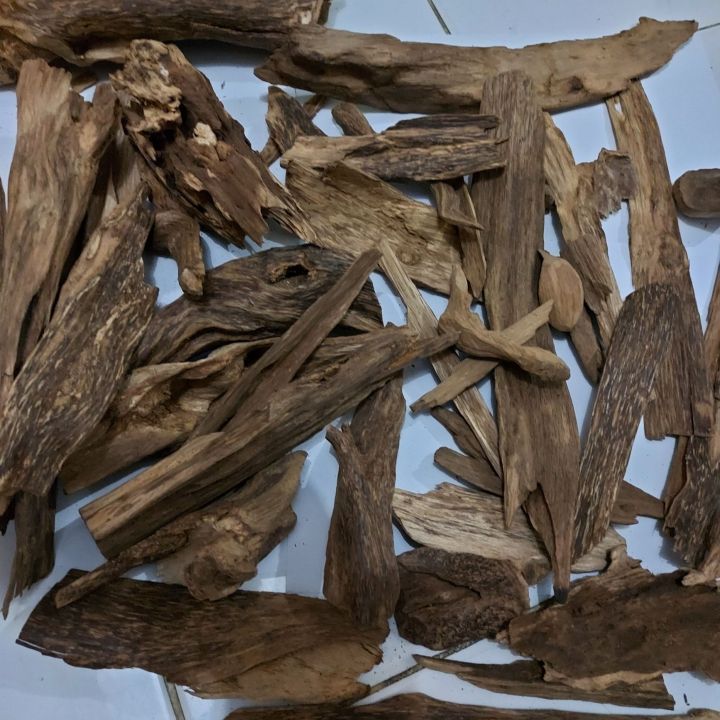 Kayu Gaharu Sulawesi asli alami KGSL01 | Lazada Indonesia