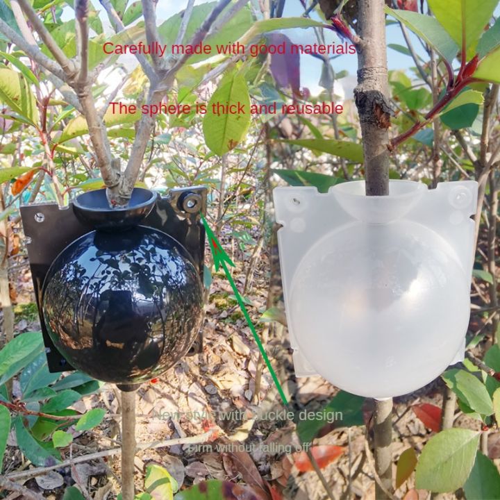 10/20PCS White plant rooting equipment High pressure propagation ball ...