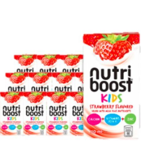 Nutriboost Strawberry 110ml x 12 | Lazada PH