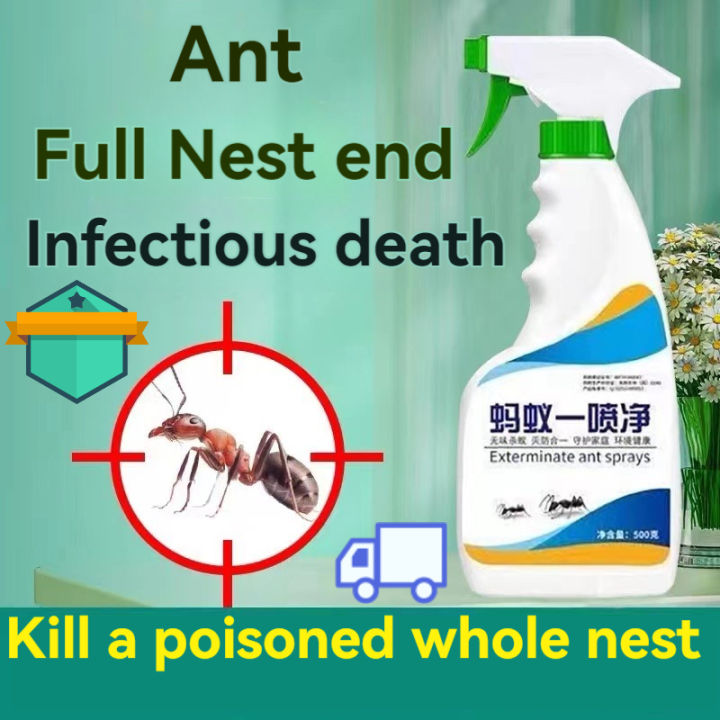 SG Ant Insecticide Ant Destroyer Kills Various Ants Ants spray clean ...