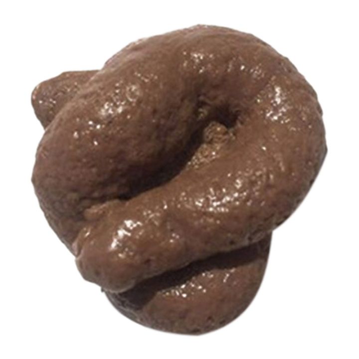 【In stock】【Low price hot sale】Simulation Poop Toy Realistic and Funny ...