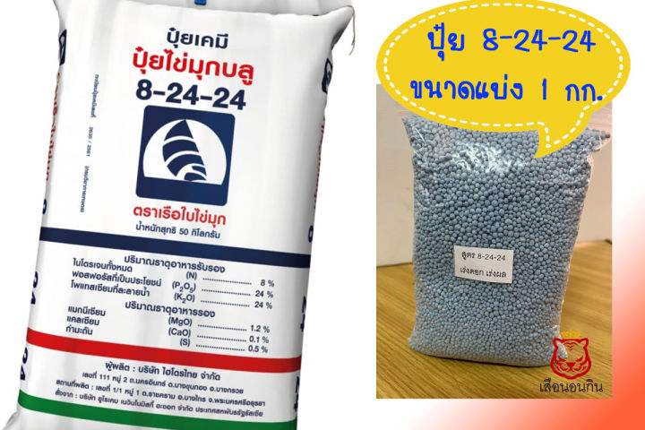 ปุ๋ย 8 24 24 บำรุงดอก และผล สำหรับไม้ผล ไม้ดอกและไม้ประดับ (ขนาดแบ่งขาย ...