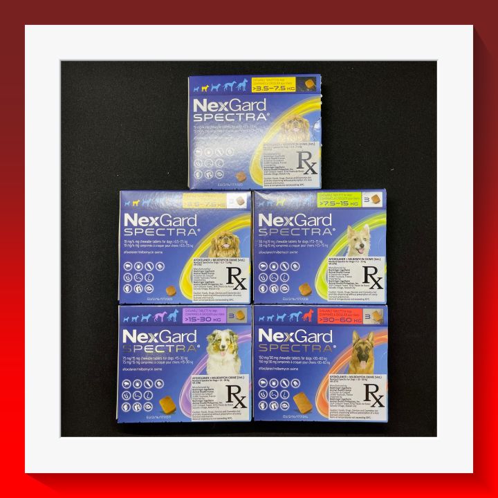 Nexgard SPECTRA Anti Ticks Fleas, Dewormer, Heartworm | Lazada PH