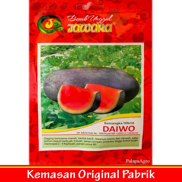 Semangka F1 Bibit Benih Semangka Merah Unggul Jawara F1 DAIWO 5gram ...