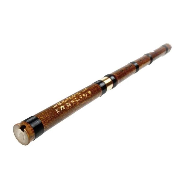 G Key Chinese Bamboo Flute Xiao Woodwind Vertical Traditional Musical ...