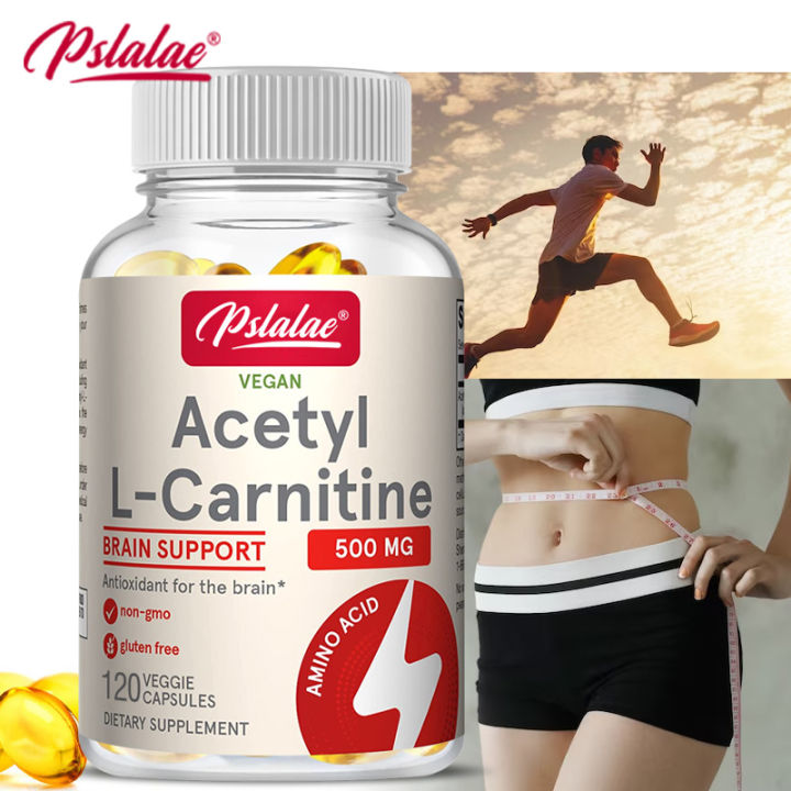 Pslalae Acetyl L-Carnitine 500 mg for Memory, Circulation, Brain ...
