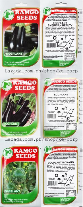 Ramgo RPO Seeds Eggplant (American Beauty, Ilokano) Original Pack ...