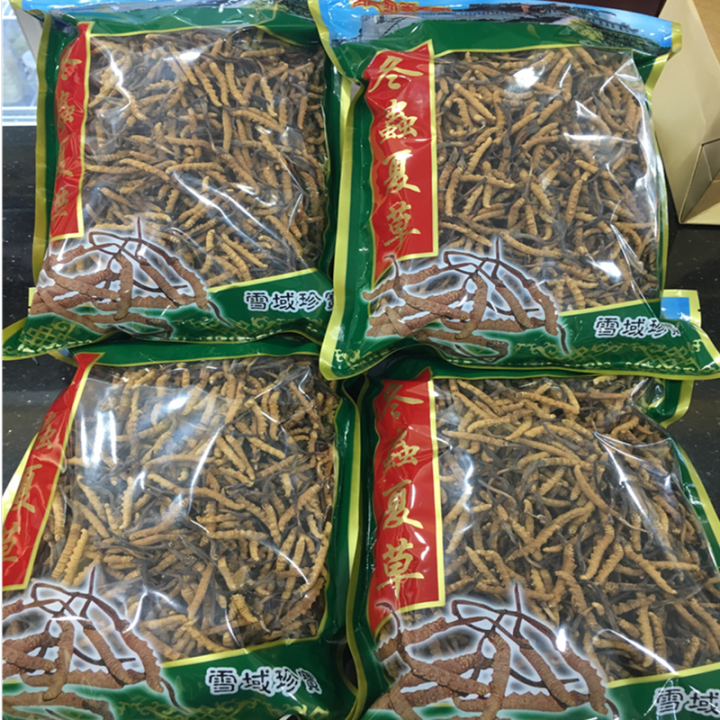 Recovery of Cordyceps Sinensis Fish Gum at High Price in Guangzhou and ...