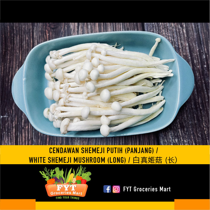 FYT GROCERIES - VEGETABLES - CENDAWAN SHEMEJI PUTIH (PANJANG)/ LONG ...
