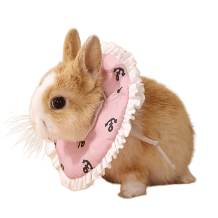 Munchies Soft Lace Recovery Cone – Adjustable Collar for Rats, Hamsters ...