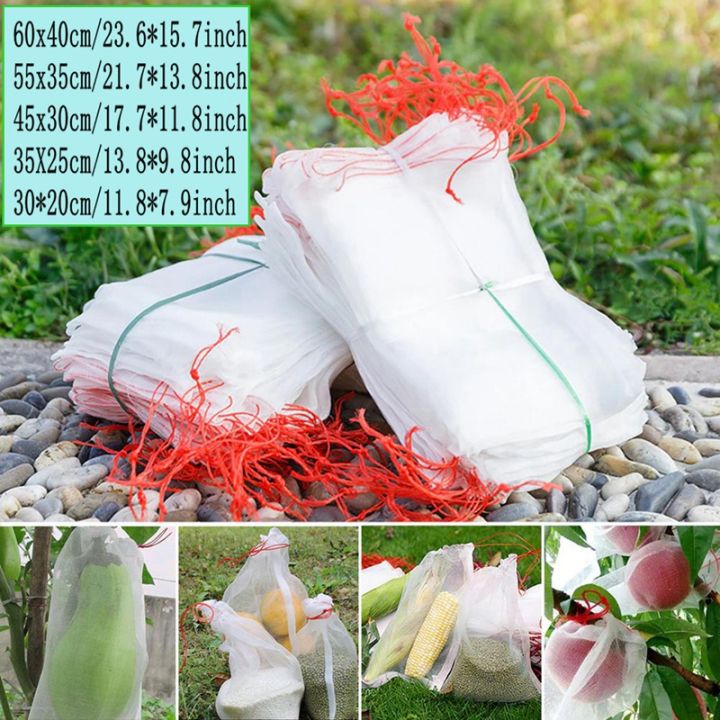 10pcs Insects Net Bag Fruit Vegetable Protection Cover Fruit Netting ...
