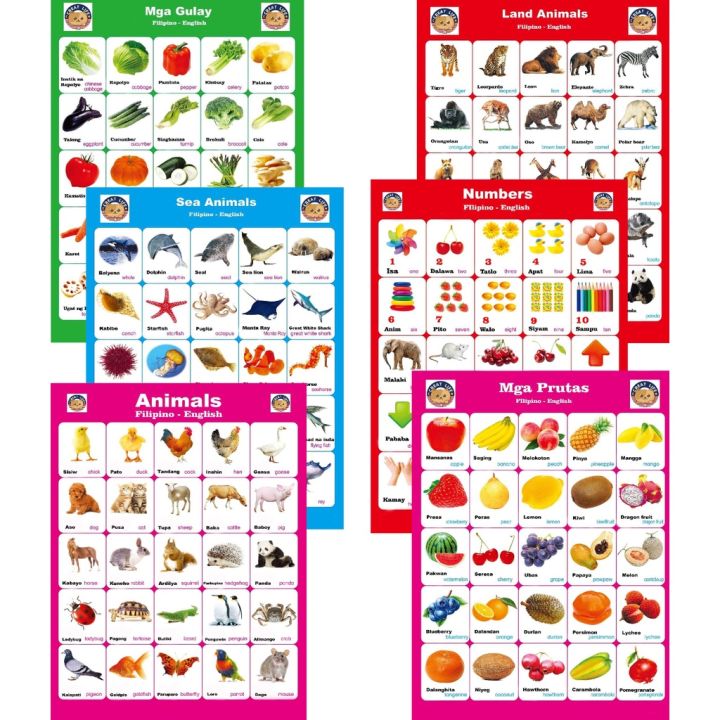 5842cm Filipino - English Educational Wall Charts for Kids Learning ...