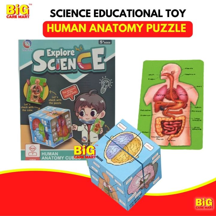 BCM Science Medical Toy | Learn Human Anatomy Cube + Chart [Include ...