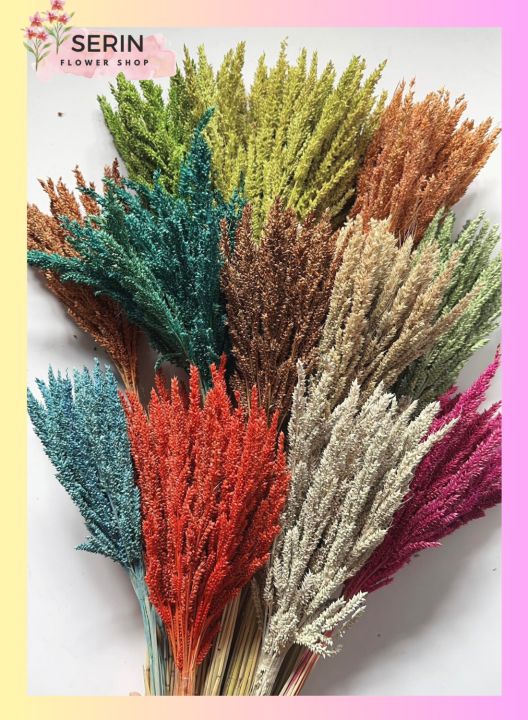 Trigo Dried Flower Colored Trigo (30 stems bundle) BEST SELLER FLOWER ...