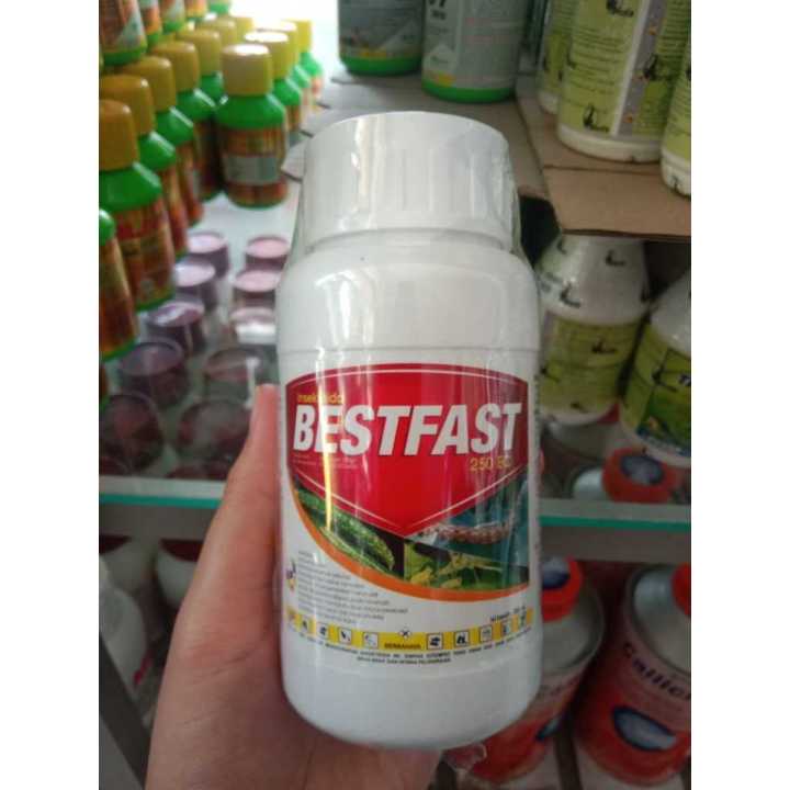 Insektisida BESFAST 250EC 250ML | Lazada Indonesia