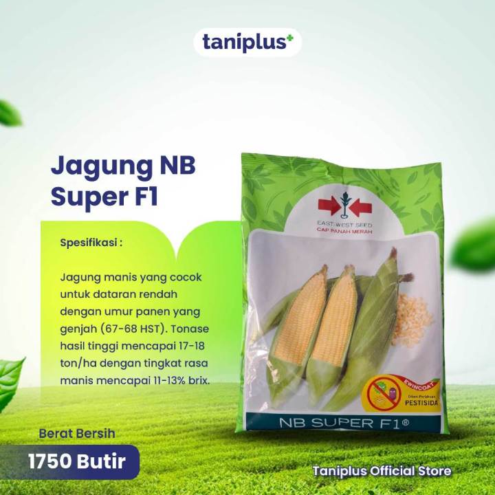 Jagung NB Super F1 1750 Butir - Benih Hortikultura | Lazada Indonesia
