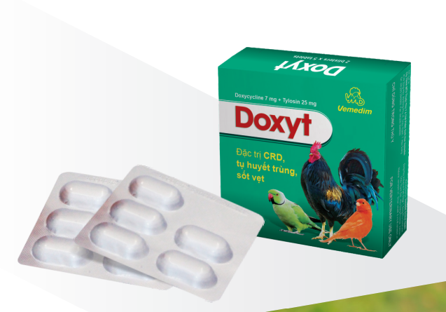 Doxyt tab, hộp 10 viên nén. Chuyên đường tiêu hóa và hô hấp gà đá, gà ...