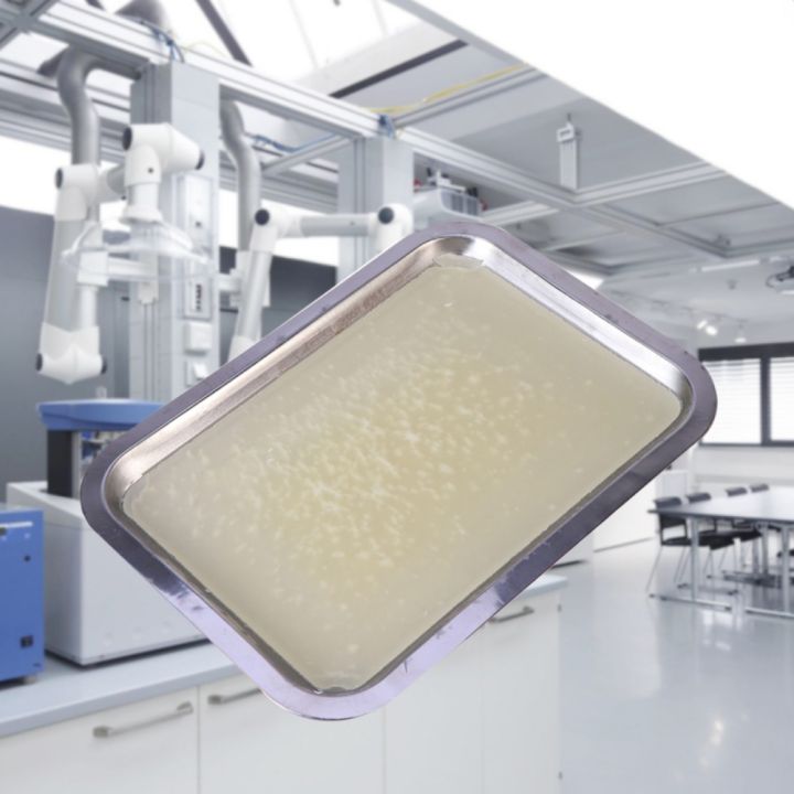 Stainless Steel Dissecting Pan 19*26cm With Wax Laboratory Equipment ...