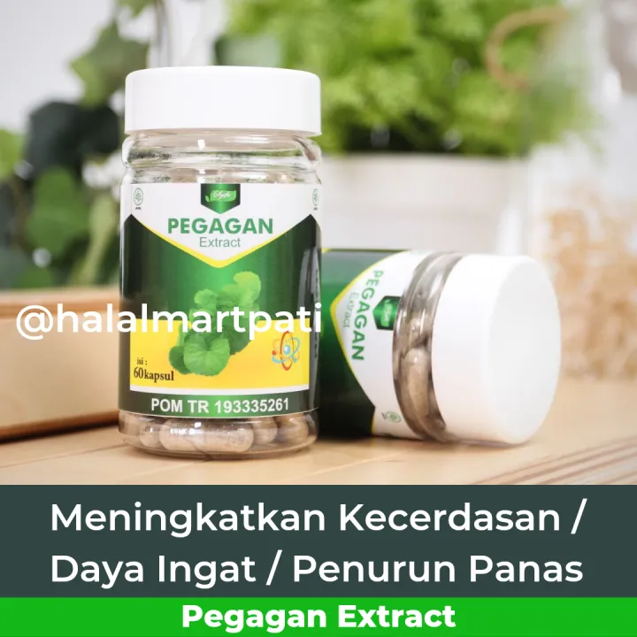 Kapsul Ekstrak Pegagan Obat Suplemen Vitamin Nutrisi Herbal Penambah ...