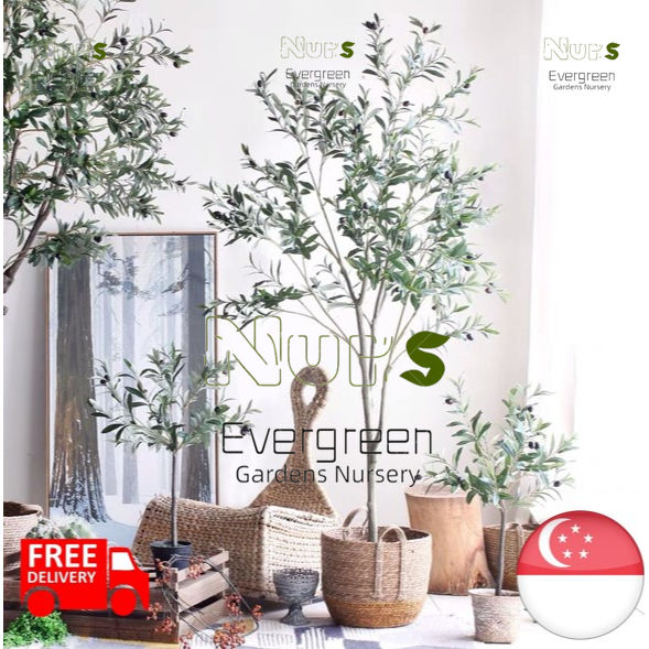 Artificial Olive Tree Plant Home Deco Hari Raya Plant26 | Lazada Singapore