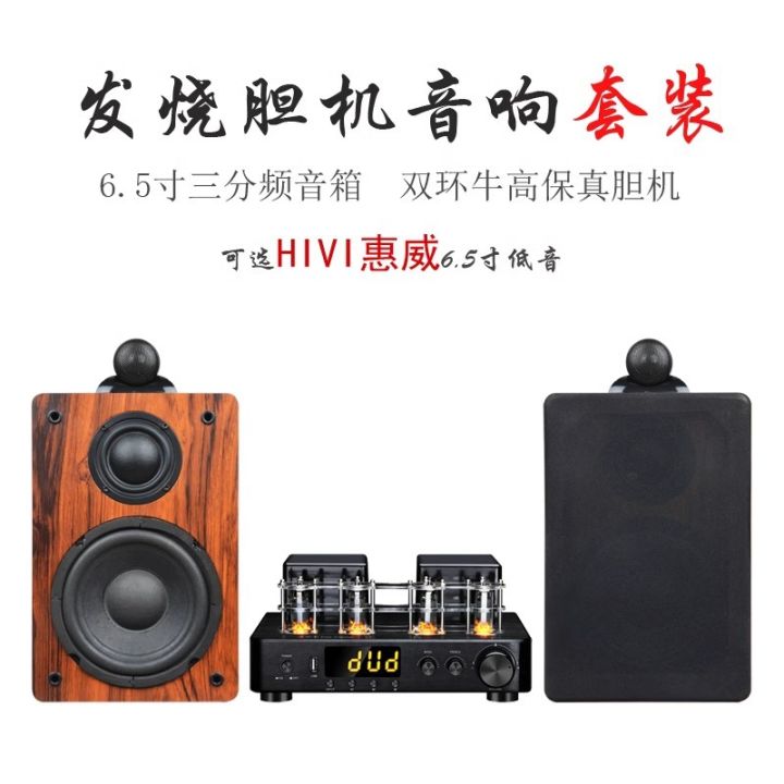 HiVi Speaker T-6301 Tube Amplifier Audio Set 6.5 3-Way Passive ...