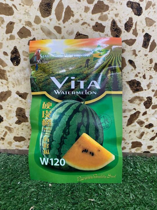 Benih Tembikai Kuning/Yellow Watermelon VITA W120 Star Plant (20gm ...