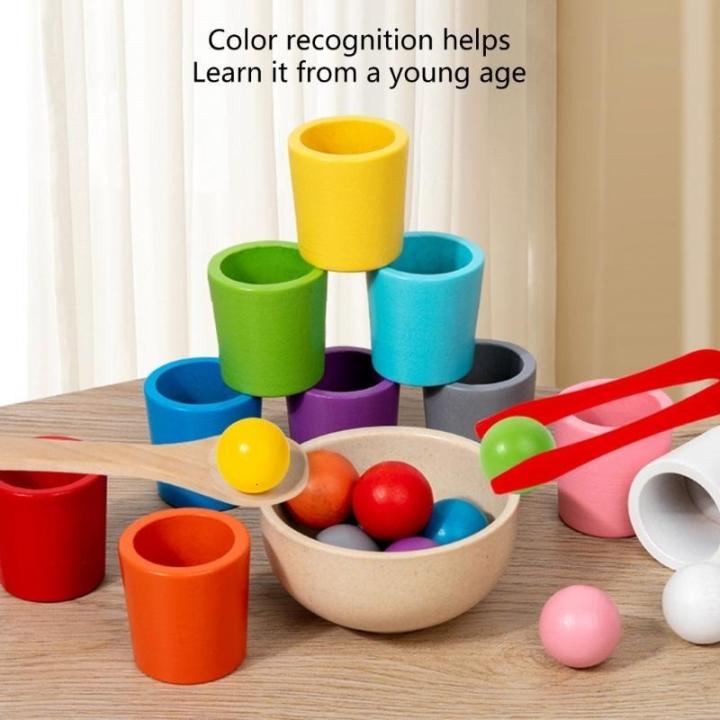 Sorting Cup and Balls Toy Color Cognitive Education Toy for Children ...