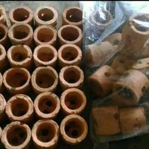 POT TANAMAN AIR AQUASCAPE AQUARIUM / POT BATA CLAY POT MEDIA TANAMAN ...