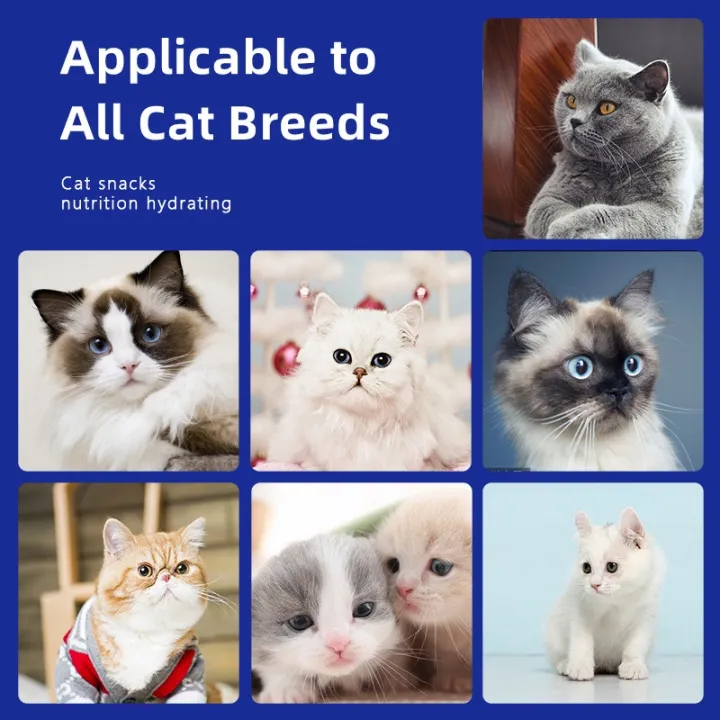 100PCS Pet Snacks Cat Kitten Snacks Cat Treats Fresh Wet Food 15g ...