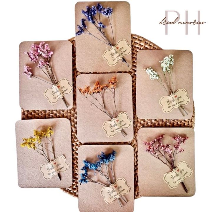Dried Preserved Caspia in Card Dried Flowers | Lazada PH