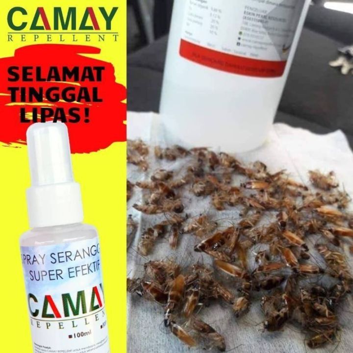 Cockroach Killer For Car Cockroach Pest Contol Cockroach Spray Camay ...