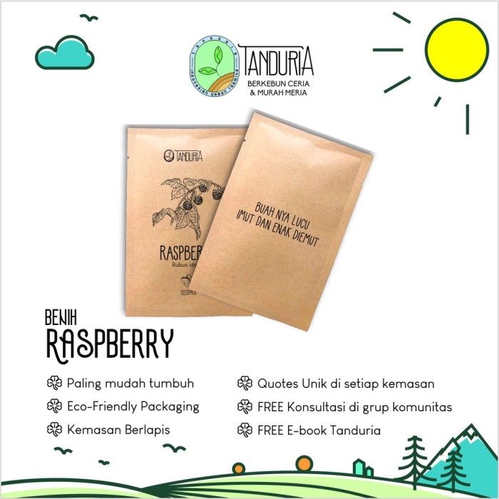 PROMOO HOT TANDURIA - BENIH SUPER RASPBERRY BIBIT BIJI BUAH BUAHAN ...