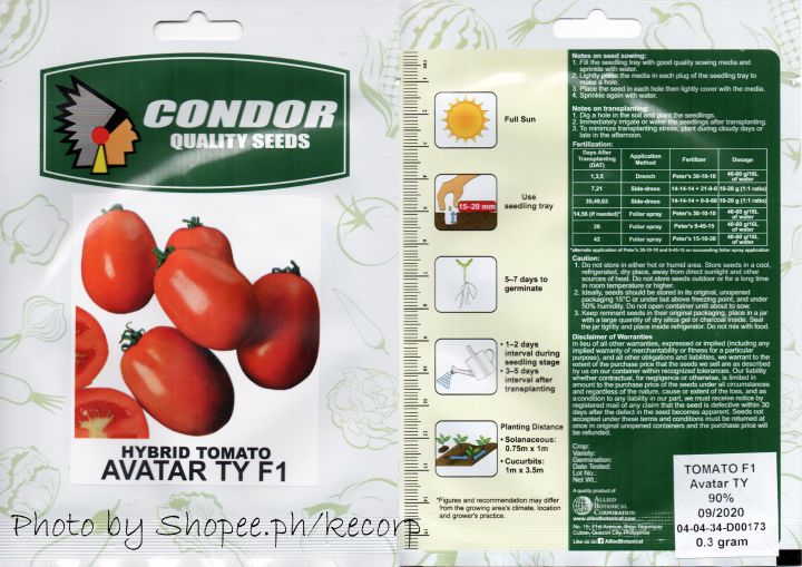 Condor Vegetable Seeds Tomato Avatar F1 | Lazada PH