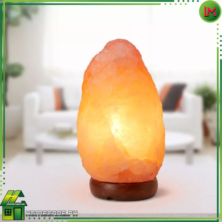 HOMECARE PH. Natural Rock Salt Authentic Himalayan Salt Lamp with Dim ...