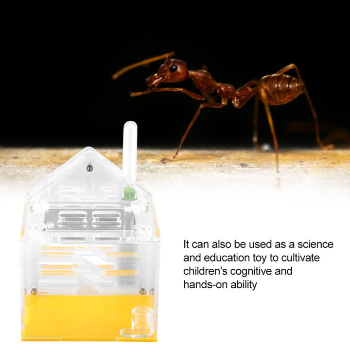 Acrylic Ant Nest Villa Farm House Formicarium For Ant Feeding ...