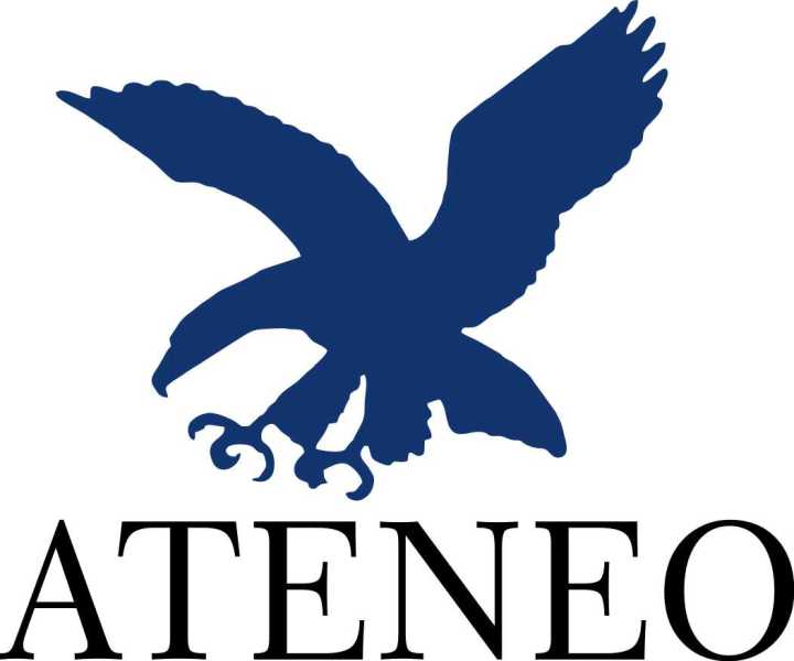 Ateneo Blue Eagle car sticker | Lazada PH