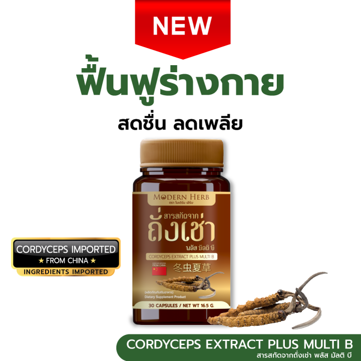 Cordyceps Extract Plus Multi B ถั่งเช่า พลัส มัลติ บี ช่วยฟื้นฟูร่างกาย ...