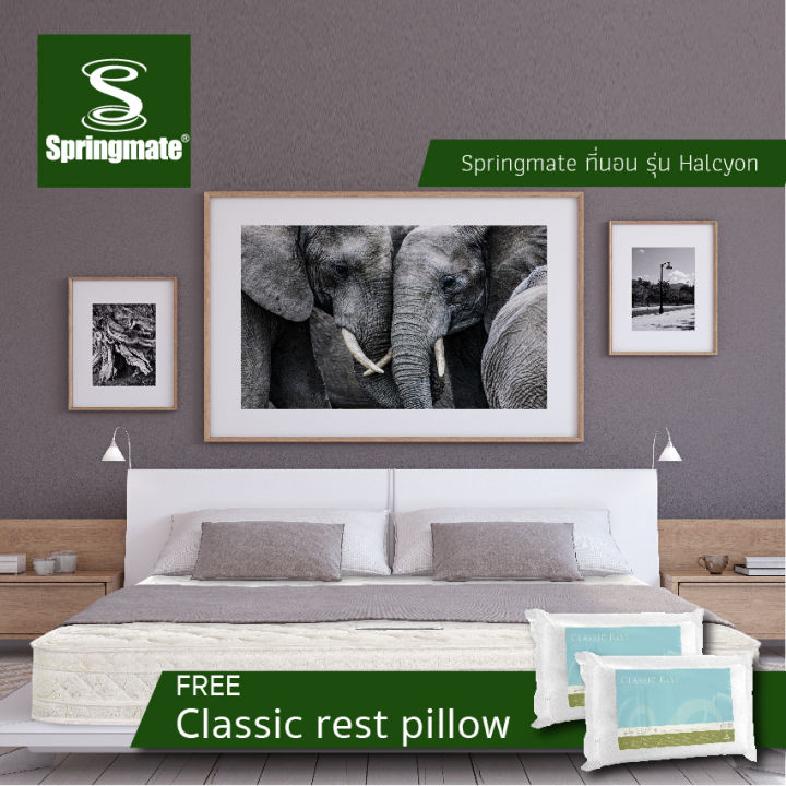 Springmate ที่นอนสปริงรุ่น Halcyon (ฮัลซีออน) แถมฟรี!! หมอนหนุนสุขภาพกันไรฝุ่น - ส่งฟรีทั่วไทย ...
