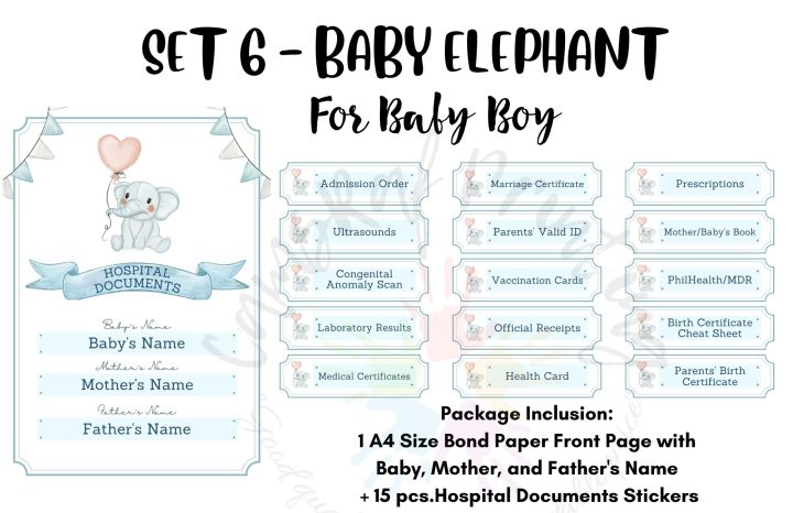 Baby Hospital Documents Sticker Label | 1 Front Page and 15 Stickers ...