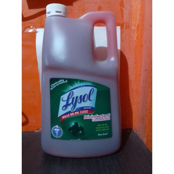 Lysol disinfectant concentrate pine scent 4L | Lazada PH