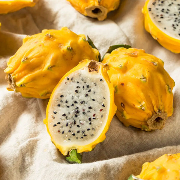 Ecuador Palora Dragon Fruit Seeds Rare Dragon Fruit Seeds Heirloom ...