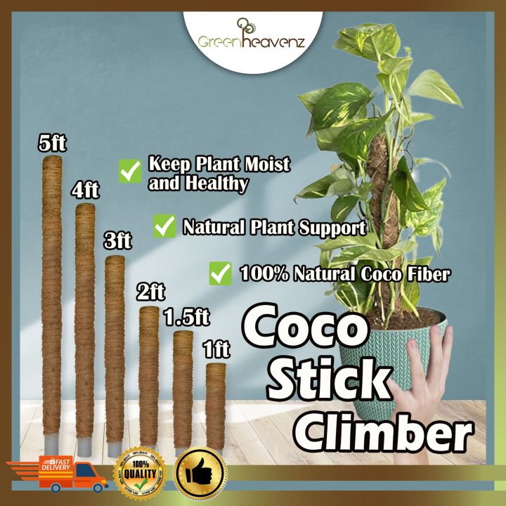 GHZ Coco Stick For Climbing Plant Batang Sabut Kelapa Coco Fiber Pole ...