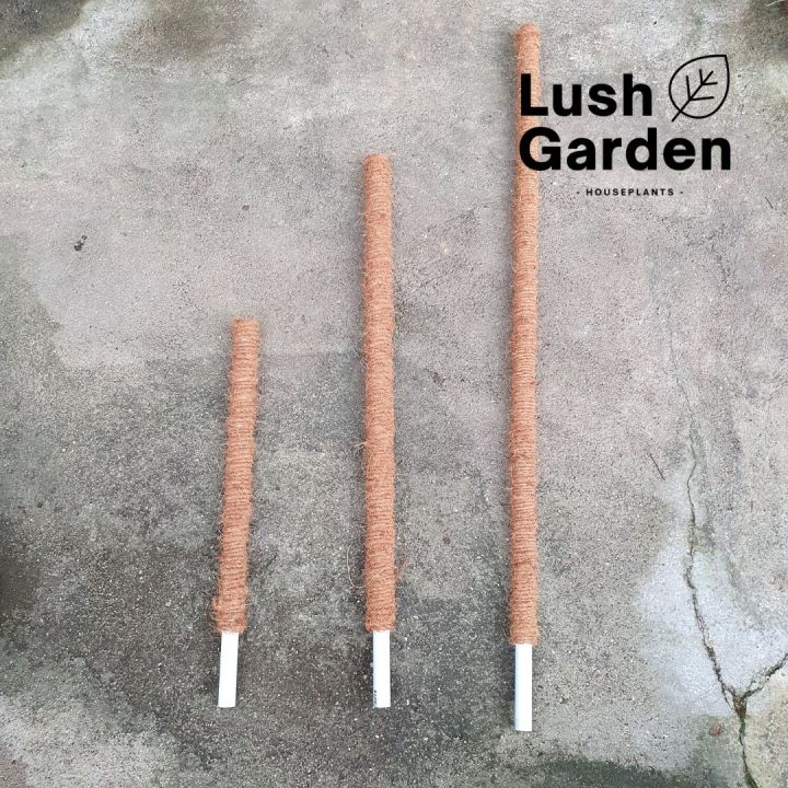 2FT 3FT 4FT Coco Stick / Coco Fibre Pole / Tiang Sabut 椰丝棍 [Lush Garden ...