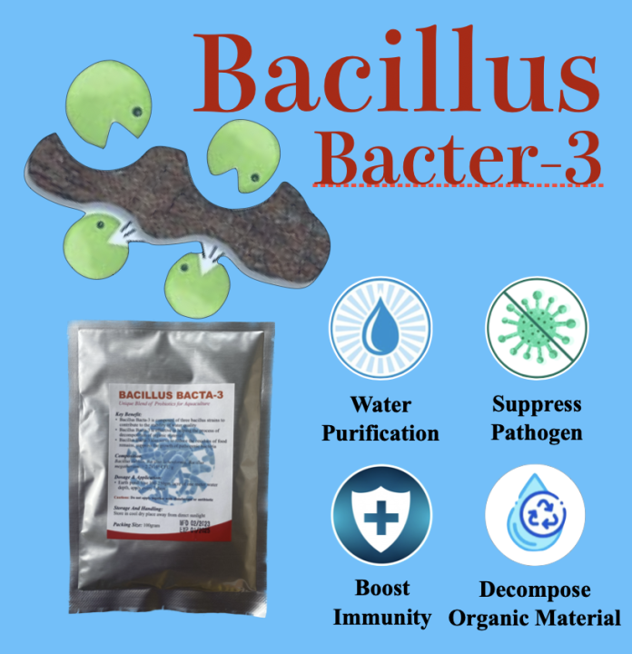 Bacillus Bacta-3 Aquaculture Water Probiotic Fish and Shrimp 100gm | Lazada