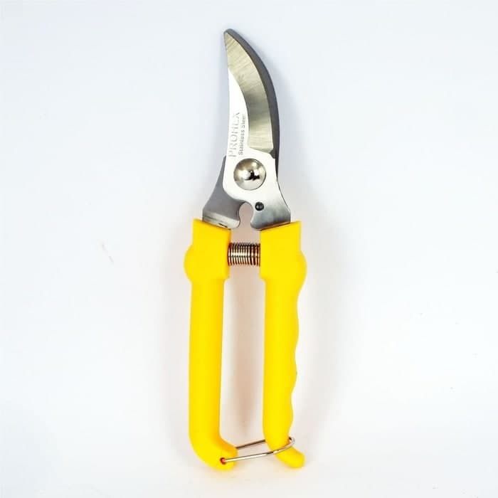 Gunting Tanaman Gunting PROHEX Stek Batang Dahan Pohon - Pruning ...