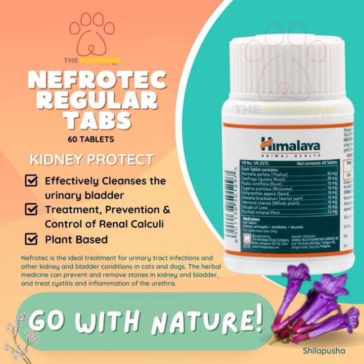 Nefrotec Regular Tablet (Authentic Himalaya Product-Green) | Lazada PH