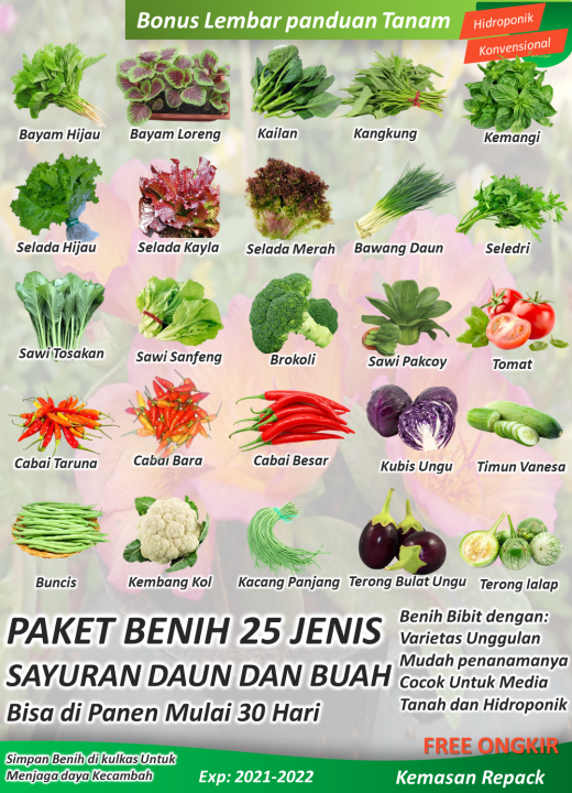 Bibit Sayuran Benih Sayuran Bibit Sayur Benih Sayur 25 Jenis Untuk Berkebun | Lazada Indonesia