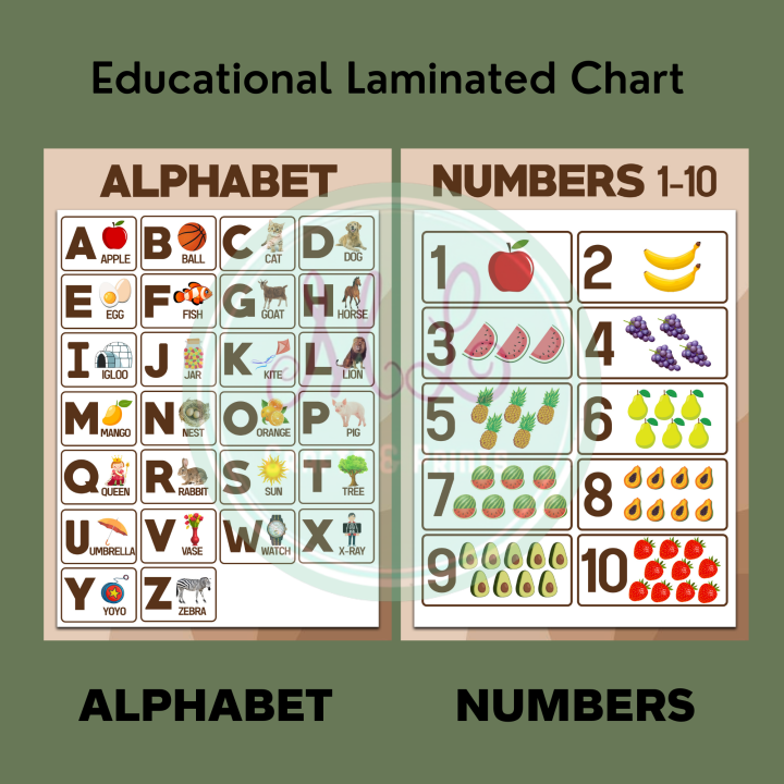 Educational Laminated Charts A4 Size | Lazada PH